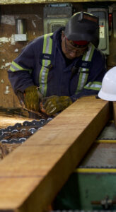 Halo Sawill | Delta Cedar Sawmill | Delta Forestry Group